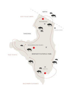 Your Guide to the Great Migration | TAASA Migration Camp